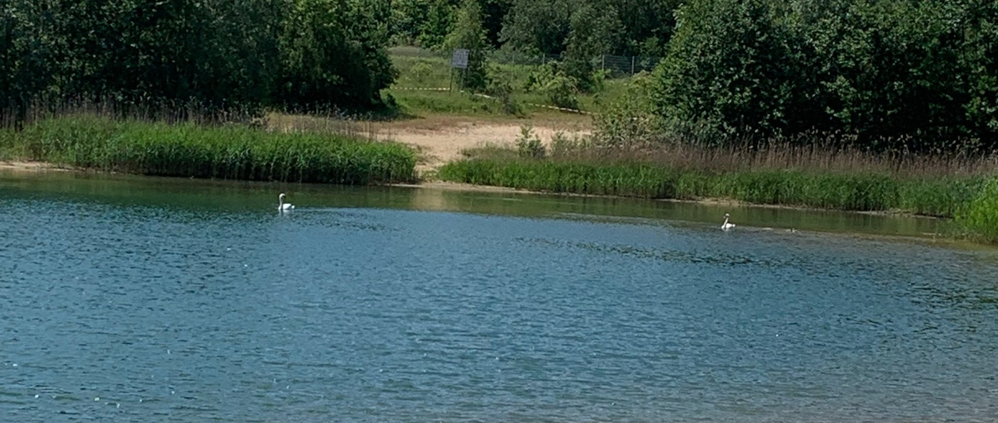 Badestelle Costa Kiesa | Gemeinde Tangstedt